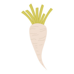 Sugar beet cartoon isolated Royalty Free Vector Image