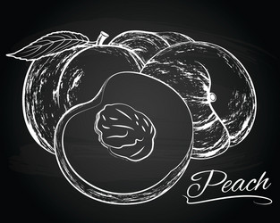 Peaches Vector Images (over 29,000)