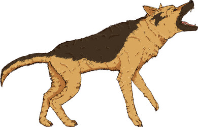 Attack German Shepherd Vector Images (74)