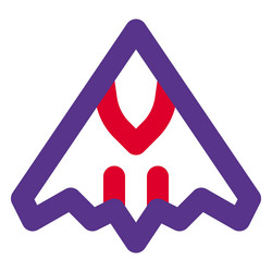 Closeup of b-2 stealth bomber Royalty Free Vector Image