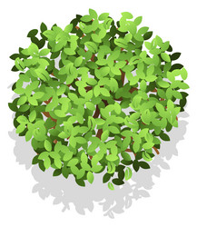 Landscape garden design elements top view Vector Image