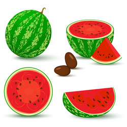Half Watermelon Vector Images (over 3,800)