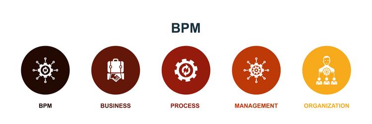 Bpm business process management organization Vector Image Bpm business process management organization Vector Image