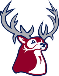 Buck mascot with big antler Royalty Free Vector Image