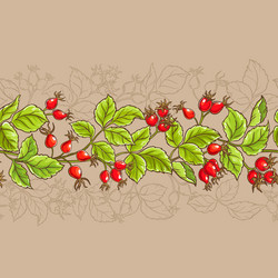 Wild rose pattern Royalty Free Vector Image - VectorStock
