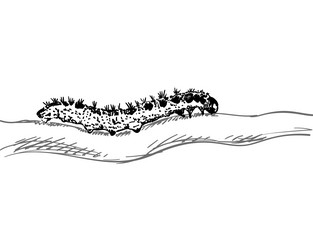Caterpillar Line Drawing Vector Images (over 1,000)