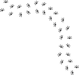 Gecko Footprint Vector Images (over 260)