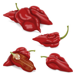 Naga Vector Images (over 180)