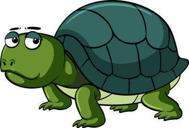 Emotional Turtle Vector Images (over 550)