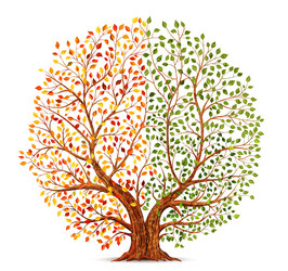 Half Tree Vector Images (over 5,900)