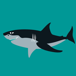 Shark flat style profile Royalty Free Vector Image