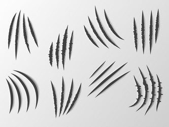 Claw Rip Vector Images (over 970)