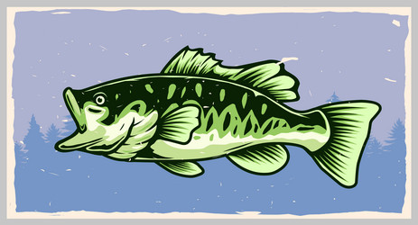 Largemouth bass fishing poster Royalty Free Vector Image