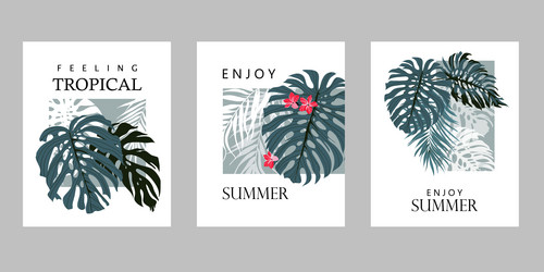 Set of tropical posters in minimal style Vector Image