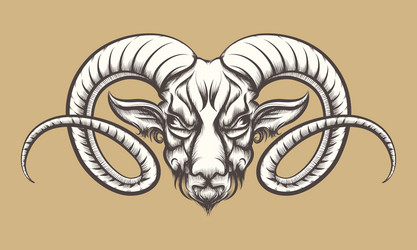 White Ram Vector Images (over 16,000)