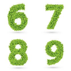 Number of green leaves with shadow Royalty Free Vector Image