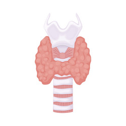 Goiter Vector Images (over 450)