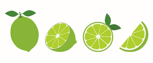 Fresh Lime Vector Images (over 28,000)