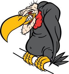 Buzzard Vector Images (over 300)