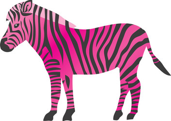 Pink Zebra Vector Images (over 1,700)