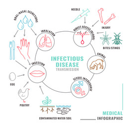 Indirect disease transmission Royalty Free Vector Image