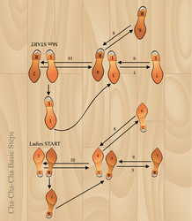 Tango basic steps Royalty Free Vector Image - VectorStock