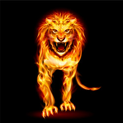 Fire Lion Vector Images (over 1,500)