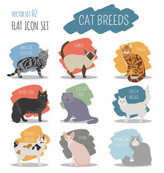 Cat breeds icon set flat style Royalty Free Vector Image