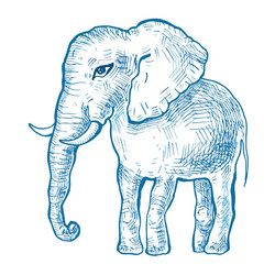Elephant Tail Vector Images (over 1,300)