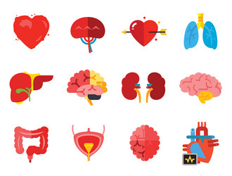 Organs icon set Royalty Free Vector Image - VectorStock