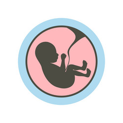 Human embryo in the womb icon amniotic Royalty Free Vector