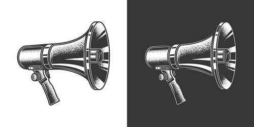 Dont wiss out sign banner with old tin megaphone Vector Image