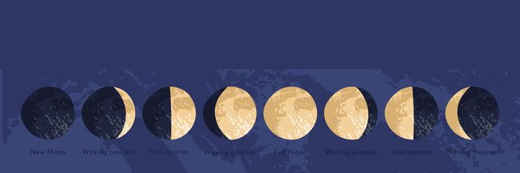 Moon phase lunar cycle synodic month lunary Vector Image