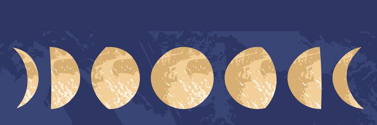 Moon phase lunar cycle synodic month lunary Vector Image