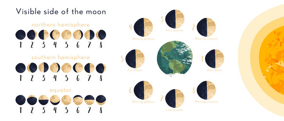 Moon phase lunar cycle synodic month lunary Vector Image