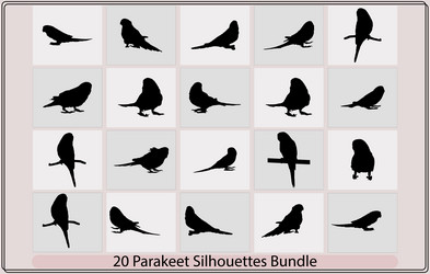 Parakeet Outline Vector Images (over 390)
