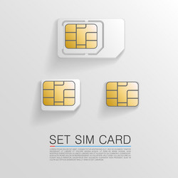 Sim card set Royalty Free Vector Image - VectorStock