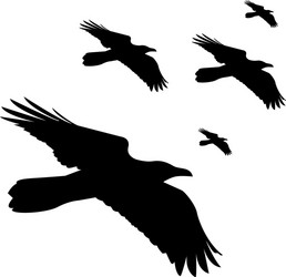 Flock of Ravens Flying Vector Images (over 310)