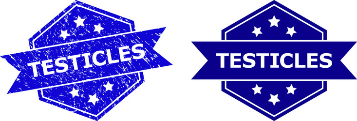 Male Testicles Vector Images (over 1,800)