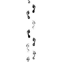 No feet sign Royalty Free Vector Image - VectorStock