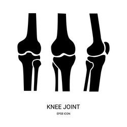 Human knee joint symbols Royalty Free Vector Image