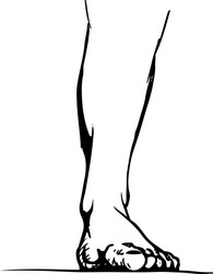 Leg Vector Images (over 170,000)