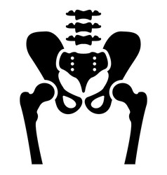 Pelvis skeleton Royalty Free Vector Image - VectorStock