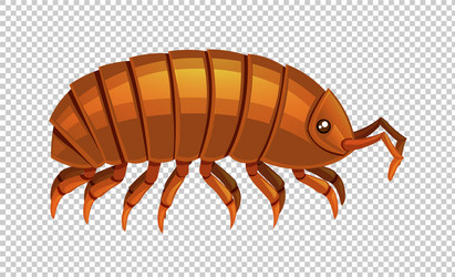 Lice Vector Images (over 490)