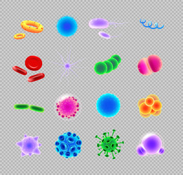 Blood Bacteria Vector Images (over 8,500)