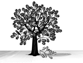 Oak tree with a banner Royalty Free Vector Image