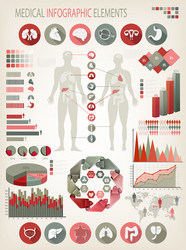 Human body internal organs and parts info poster Vector Image