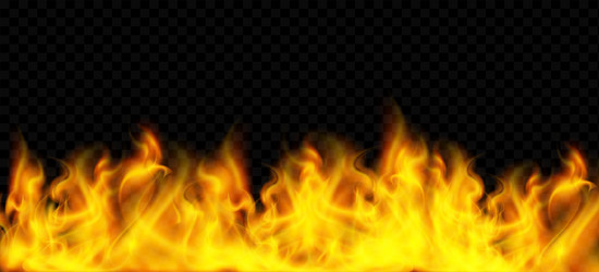 Realistic fire flames isolated on transparent Vector Image