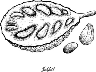 Jak Vector Images (49)