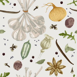 Hand drawn border with herbs and spices Royalty Free Vector